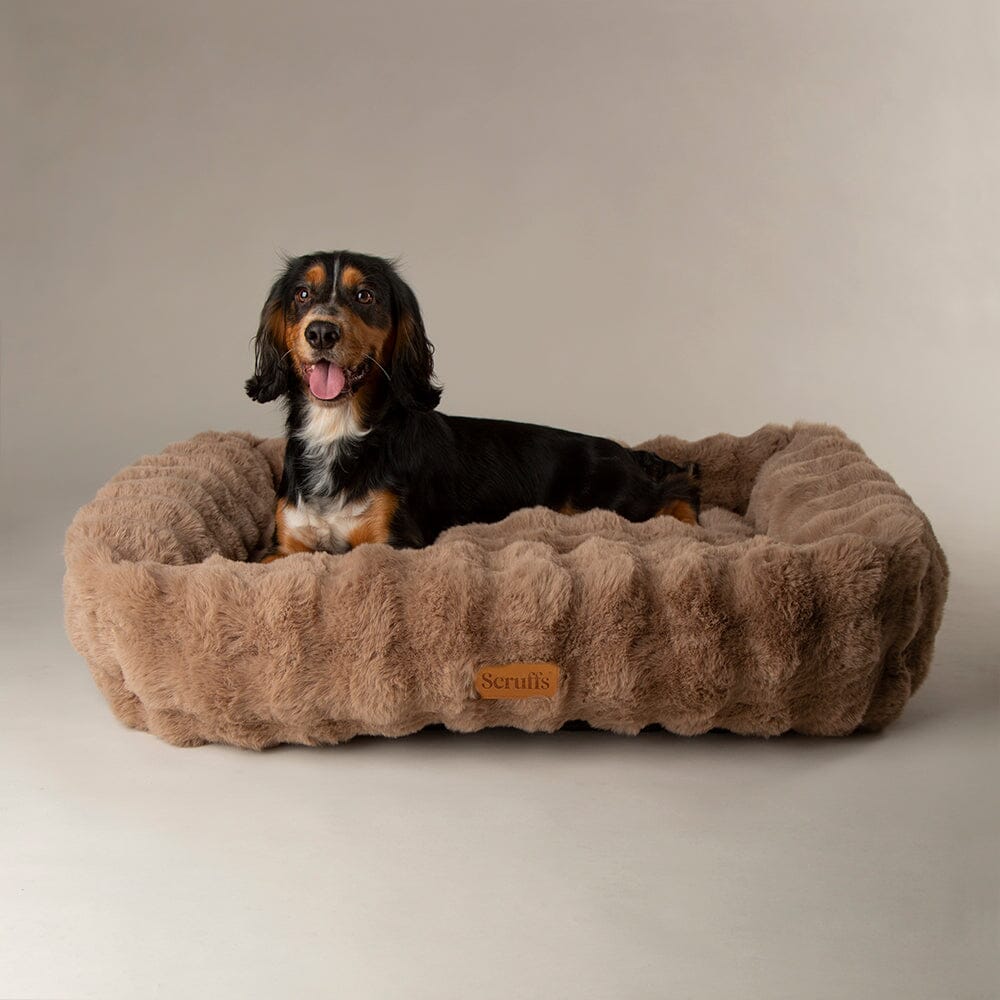 Cheap dog beds for large dogs store